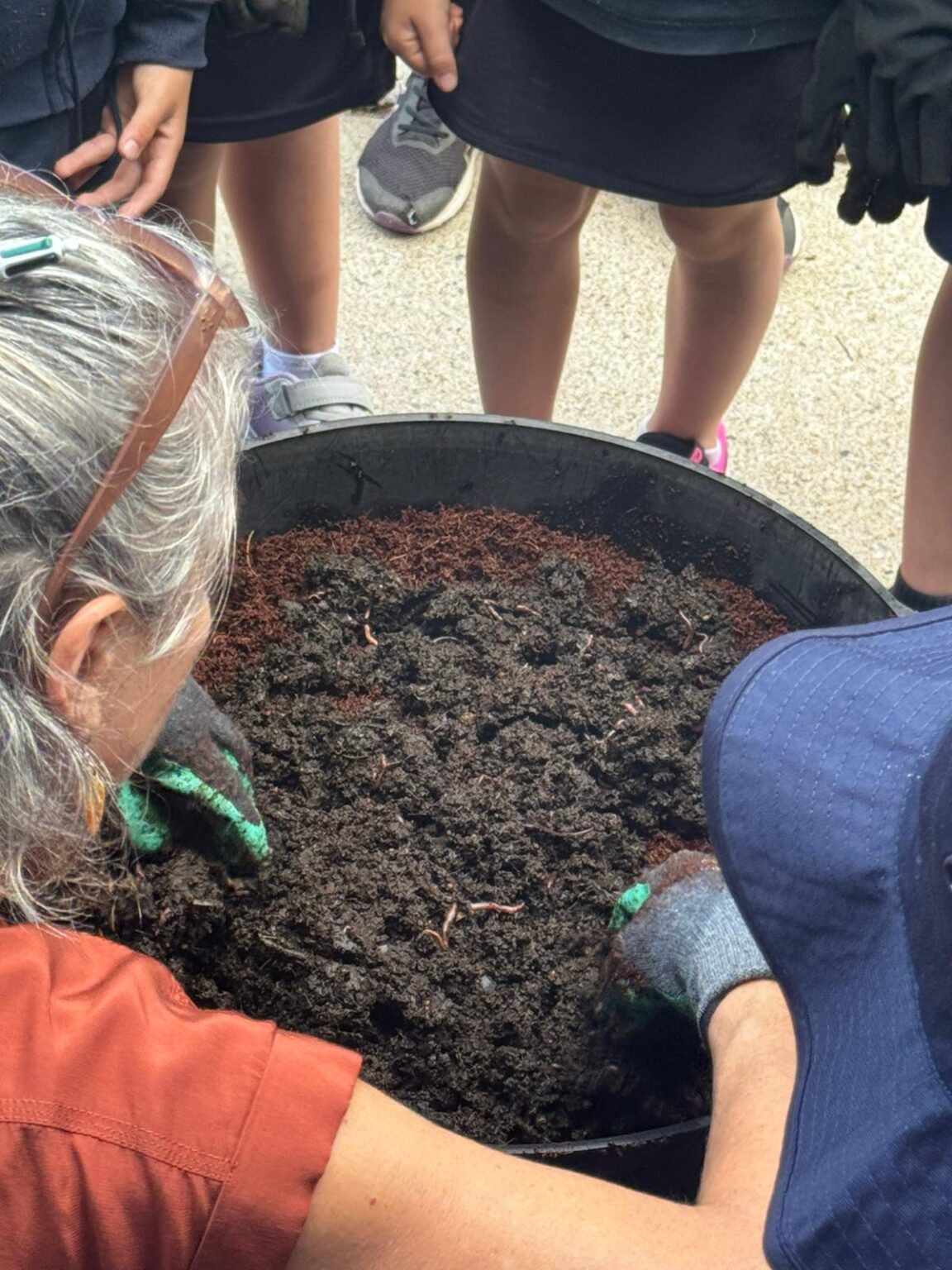 Worm Farm Fun